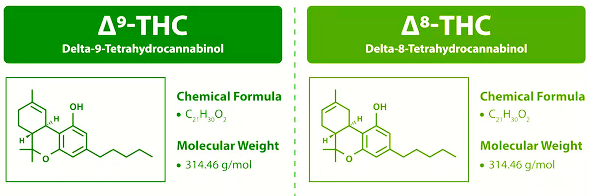 Delta-8 vs Delta-9 – Straight Hemp