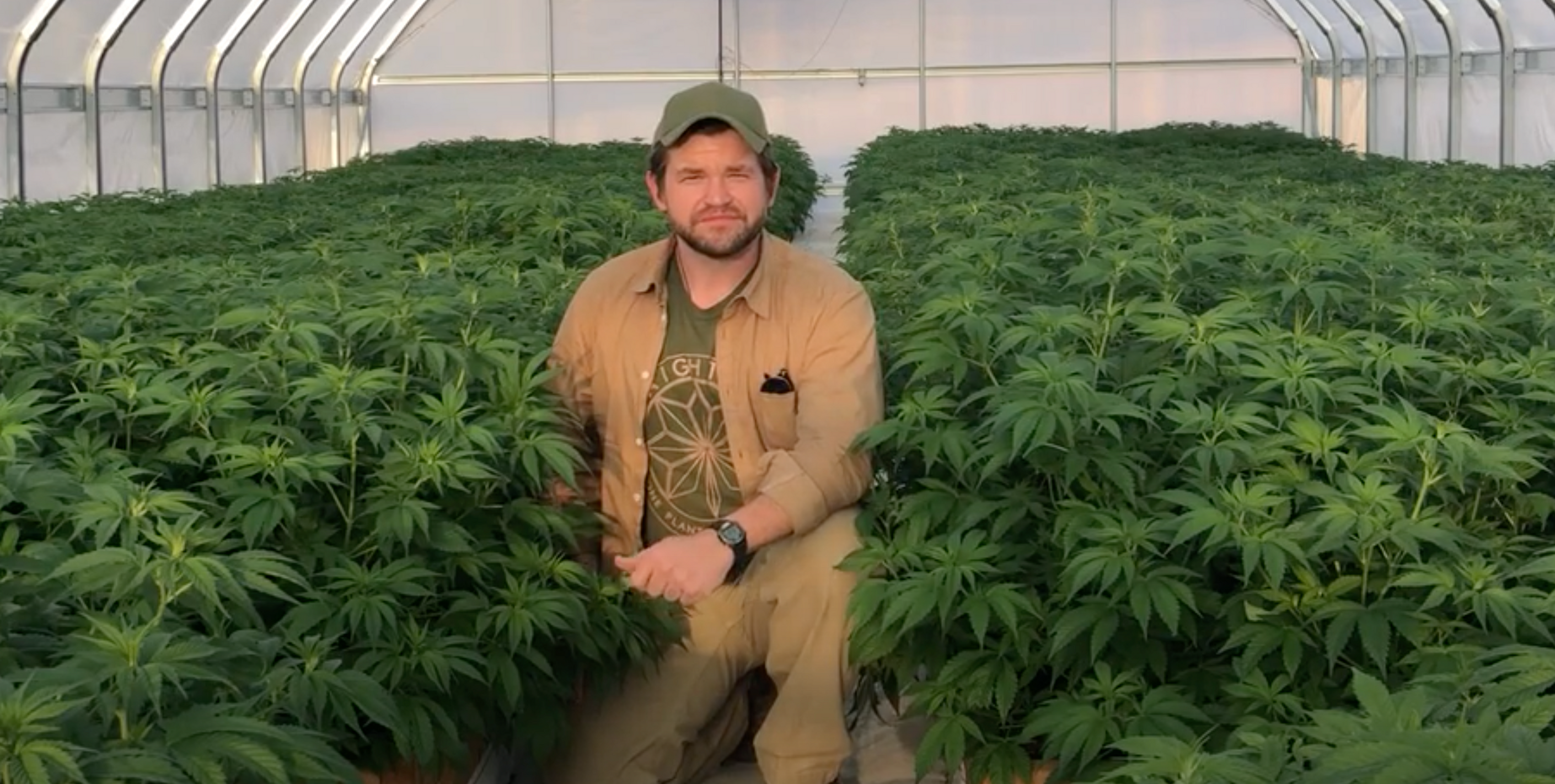 Full Spectrum CBD Oil, Tinctures & Hemp Extracts - Premium CBD Products ...